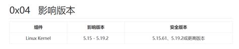 linux kernel 远程代码执行漏洞（cve 2022 47939） cve 2022 47945 csdn博客