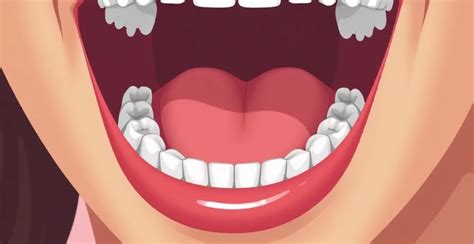 Oral Sex And Dentures Safety And Comfort Tips