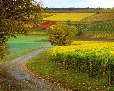 Fields France Wallpapers Top Free Fields France Backgrounds Wallpaperaccess