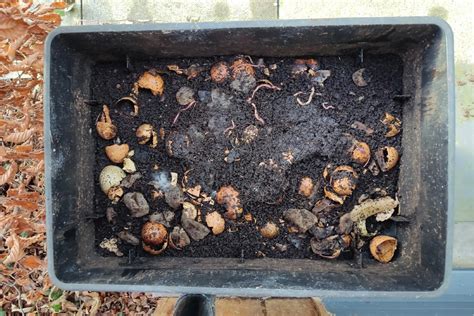 Welcoming Back Our Worms • Northumberland National Park