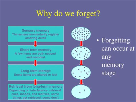 PPT - Review of Long-term Memory PowerPoint Presentation, free download ...
