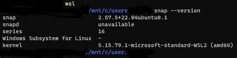 Im Trying To Install Firefox Via Wsl2 And Ive Entered A Rabbit Hole