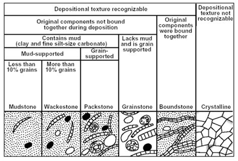 Pengertian Klasifikasi Penamaan Dan Mikrofasies Batugamping Sahal Digital Media