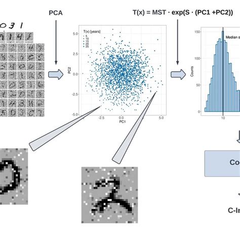 Simulation Of Survival Times Top Left We Sample 2000 Mnist Images At Download Scientific