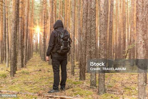관광 여행자 남자에 소나무 숲에서 보인다 숲에서 길을 공간에 복사 합니다 Live Event에 대한 스톡 사진 및 기타 이미지 Live Event 가을 경관 Istock