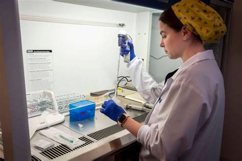 IVF Perth IVF Fertility Treatment Proven Success Rates