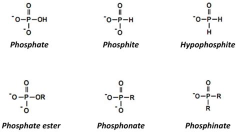 Phosphite Lewis Structure
