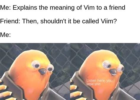 No Its Called Vim Rprogrammerhumor