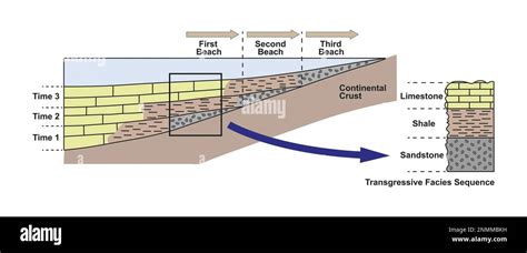 Transgression Geology Ppt Transgression Landward Migration Of A