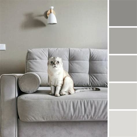 Cuál Es El Color Gris Perla Casa Y Color