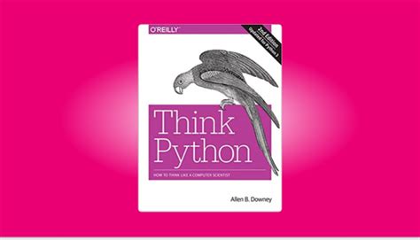 Think Python Online Course Babe
