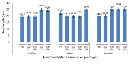 Root Length Of Maize Seedlings Under Different Applications Of Nacl