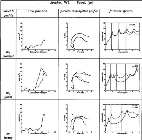 area functions pseudo midsagittal profiles and formant spectra for