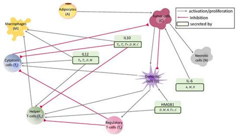 jane jin on linkedin a pde model of breast tumor progression in mmtv