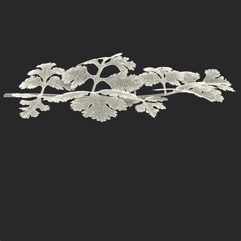 Cilantro 3d Model 39 Max 3ds Obj Ma C4d Free3d