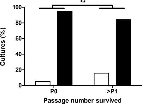 Cftr Mutation Severity Is Associated With Poor Culture Proliferation Download Scientific