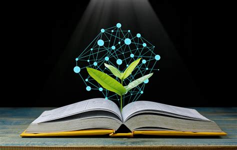 빛이 점점 검은 배경 지식으로 빛나는 책에서 자라 나무 종이 여 개념 세계 스스로 학습의 기술 참조 하 고 사방에 네 인생을 개선 0명에 대한 스톡 사진 및 기타 이미지