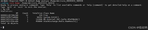 使用dotnet counters和dotnet dump 分析 core 项目内存占用问题 csdn博客