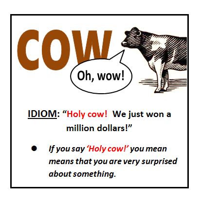 Idioms Inglese