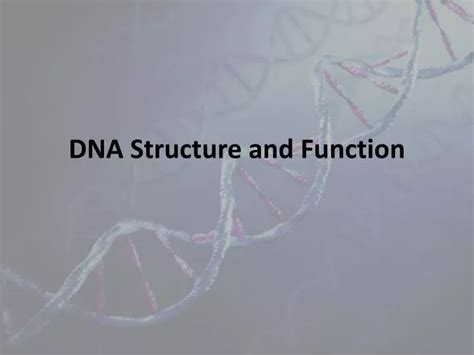 PPT DNA Structure And Function PowerPoint Presentation Free Download ID 5328759