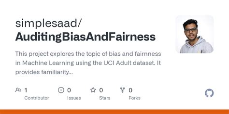 GitHub Simplesaad AuditingBiasAndFairness This Project Explores The Topic Of Bias And