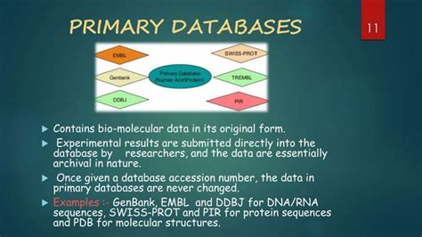 Primary And Secondary Databases Ppt By Puneet Kulyana PPTX Databases Computer Software And