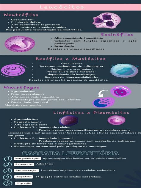 Células De Defesa Veterinária Pdf Glóbulo Branco Linfócito