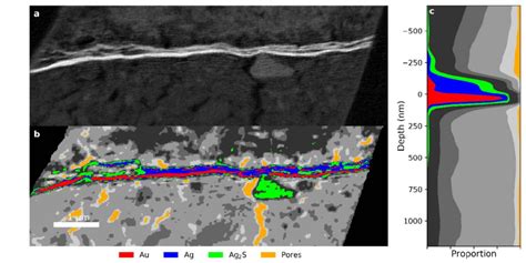 Fig S 8 Slice Through The Nicolaus Border Pxct Tomogram In A
