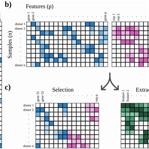 Shapes In Datasets A A Dataset Where Np The Ideal Shape For Many