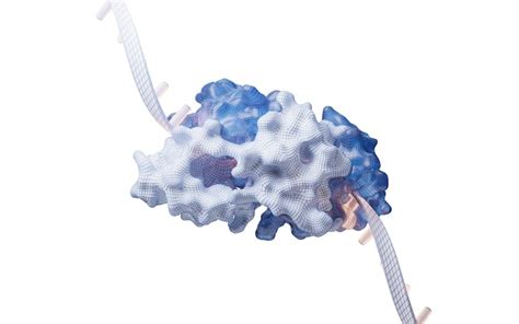 Premium Photo RNA And Proteins With Biological Concept D Rendering