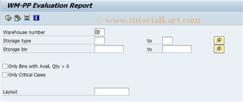 LX SAP Tcode Bin Status Report WM PP Interface