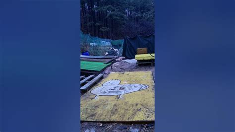 비오는날 아침 텃밭 소리 Youtube