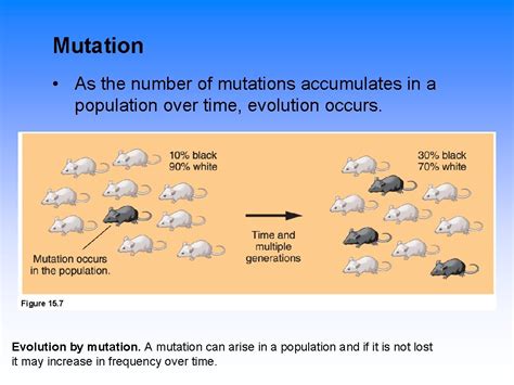 Chapter 5 Evolution Of Biodiversity Module 14 The