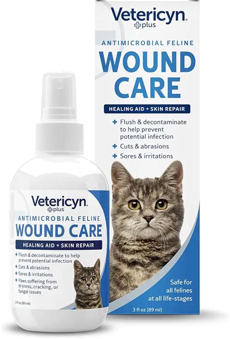 Effective Open Wound Care For Cats A Guide PetShun