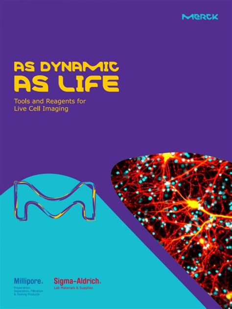 Tools And Reagents For Live Cell Imaging 2019 En Merck Dealer