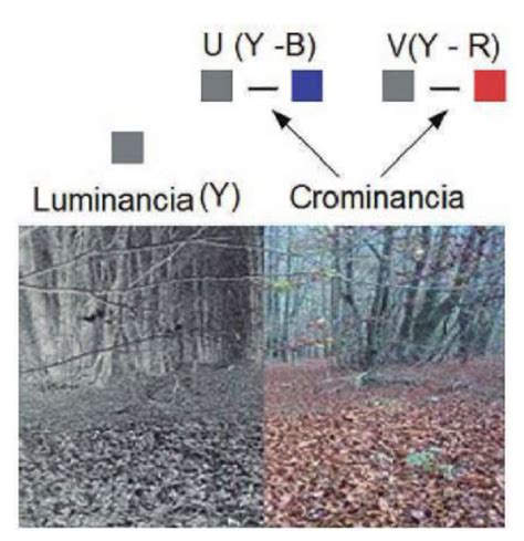 Luminance And Chrominance Requirements For Consortium Peach Connect Help