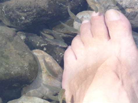 Das Knabbern Der Fischchen An Den Füßen Kitzelt Oman 2015