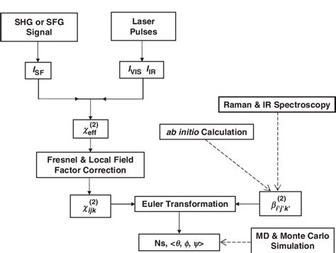 Figure 1 From Quantitative Spectral And Orientational Analysis In Surface Sum Frequency