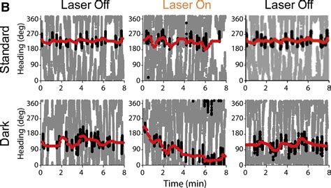 The Head Direction Signal Plays A Functional Role As A Neural Compass