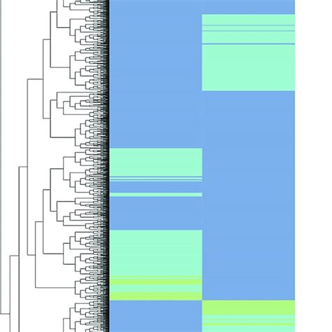 Hierarchical Clustering Analysis Of Degs Based On Fpkm Data Between T3