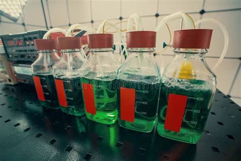 Experimental Setup For Enzymatic Synthesis By Genetically Modified Bacteria In A Microbiological