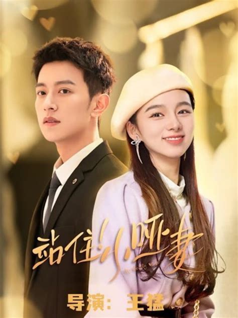 My Lovely Wife ChineseDrama Info