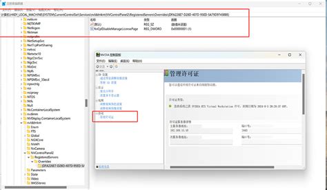 Could Not Hide Licensing Controls In Nvidia Control Panel General