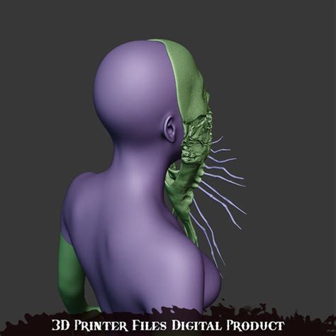 🦊 Miko Sakuko Like Entity Cosplay Mask Silent Hill F・ 3d File For 3d