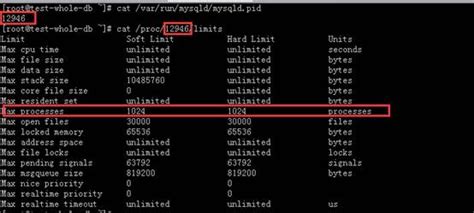 Linux动态修改 Max User Processes Limits Csdn博客