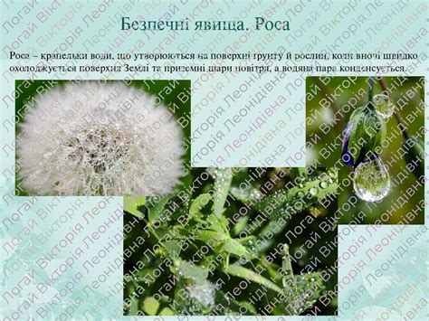 Безпечні й небезпечні природні явища в гідросфері атмосфері літосфері Презентація для 5 класу