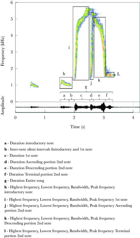 Spectrogram Upper Graph And Waveform Lower Graph Of A Single Song Download Scientific