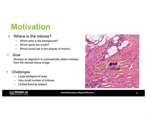 A Distributed Deep Learning Approach For The Mitosis Detection From Big Medical Images Pdf