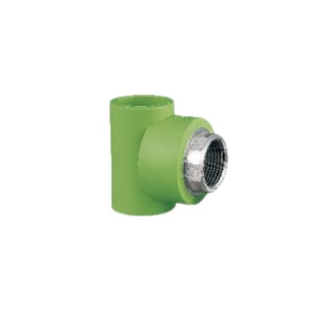 Female Thread Tee Ii Pt Spesial Pipa Indonesia