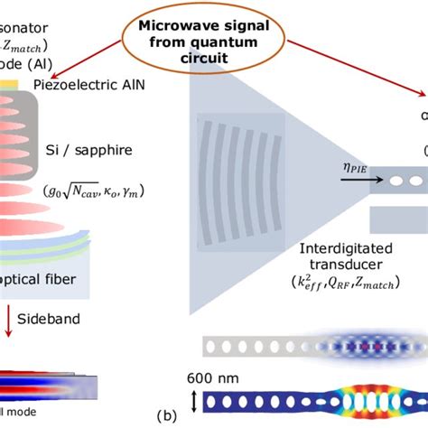 Schematic Illustration Of Microwave To Optical Signal Transduction Download Scientific Diagram